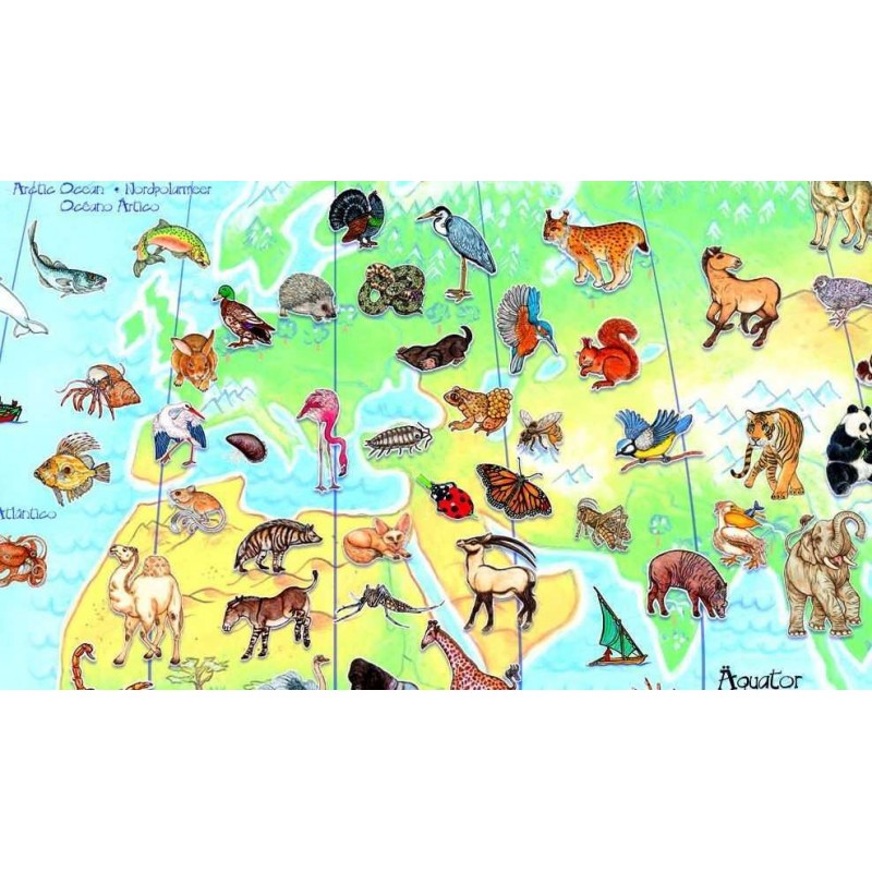 Les animaux du monde - Djeco