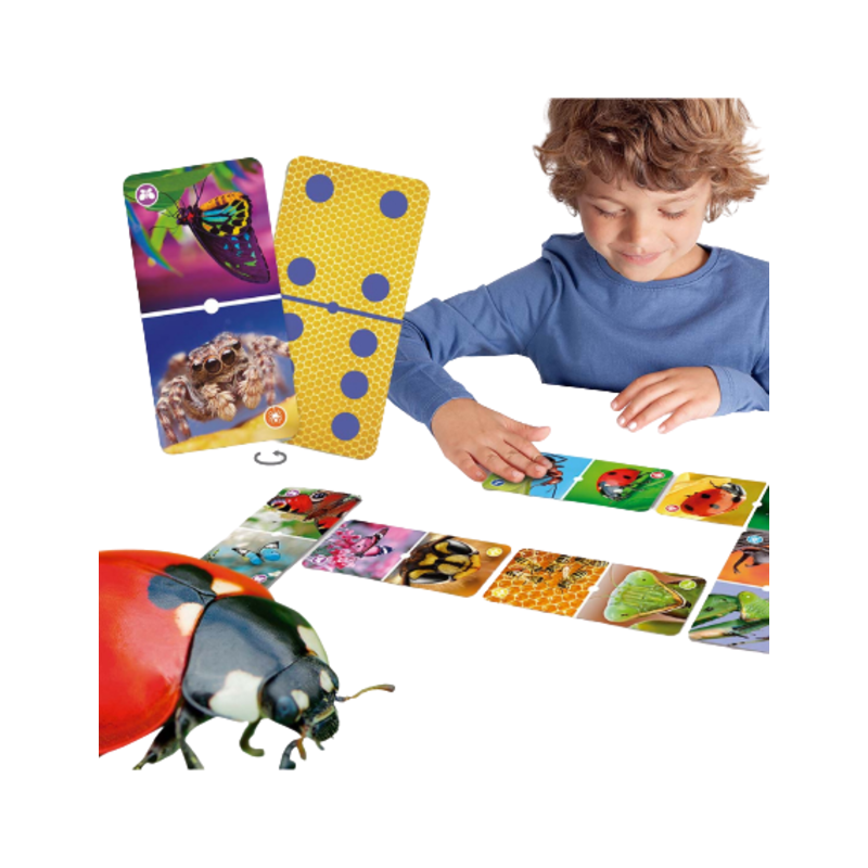 Découvrez les insectes avec un grand domino réversible - Akros - Les ...