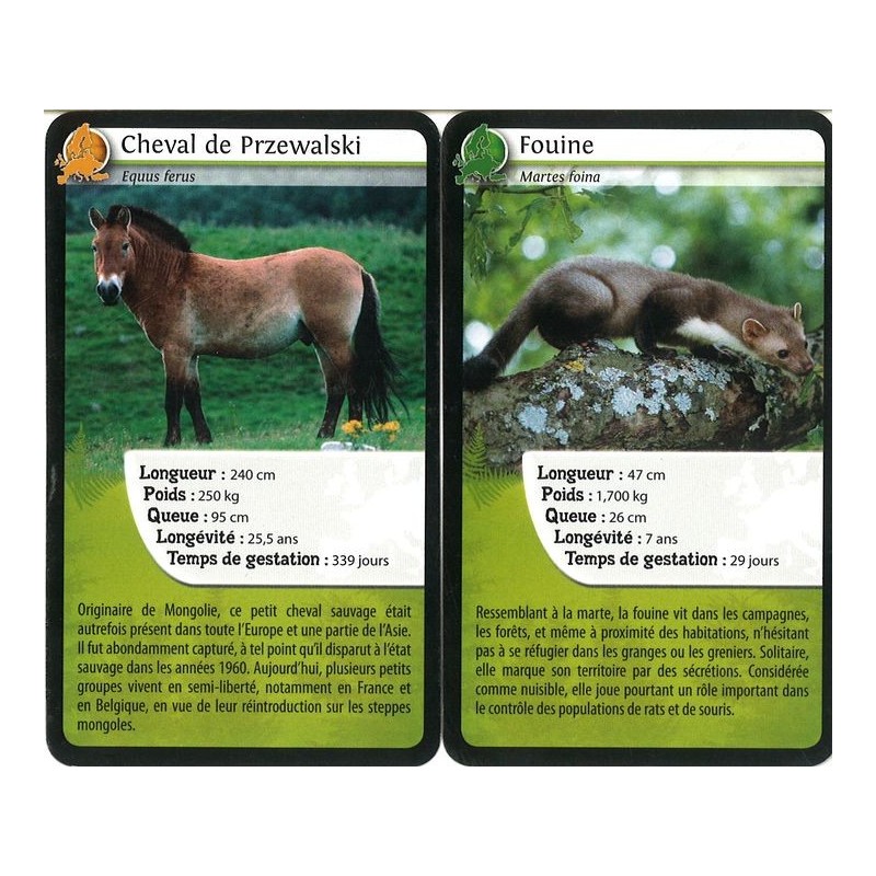 Défis nature - Europe - jeu de cartes Bioviva
